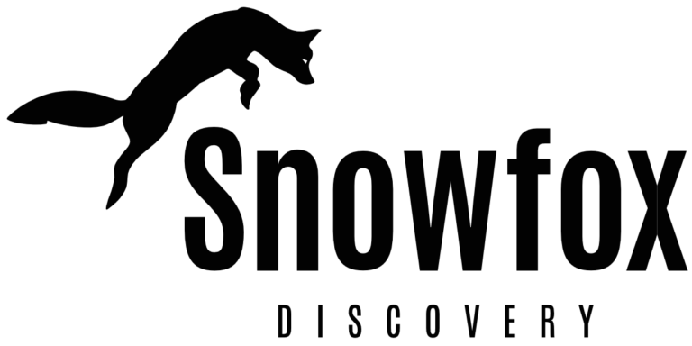 Expert Mapping Solutions and Professional GIS Services